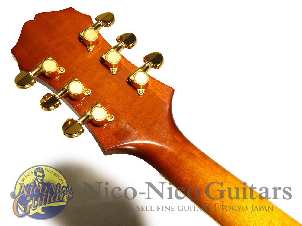 ニコニコギター図 | nico guitars – RMEC